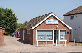 Get In Touch With Your Local Vets in Norfolk, Suffolk, Norwich and ...